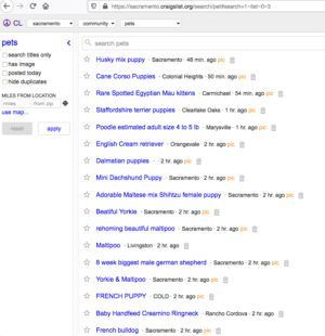 An Open Letter to Craigslist and Facebook: - Whole Dog Journal