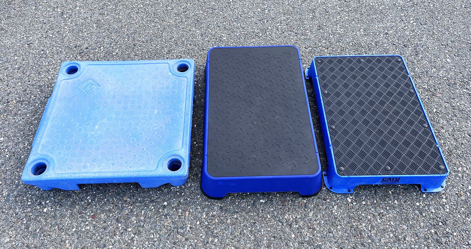 What Is a Dog Training Platform? - Whole Dog Journal