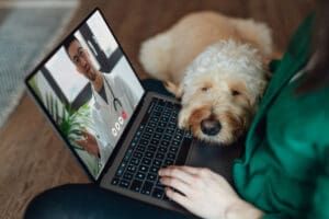 Understanding Veterinary Telemedicine and Teletriage - Whole Dog Journal