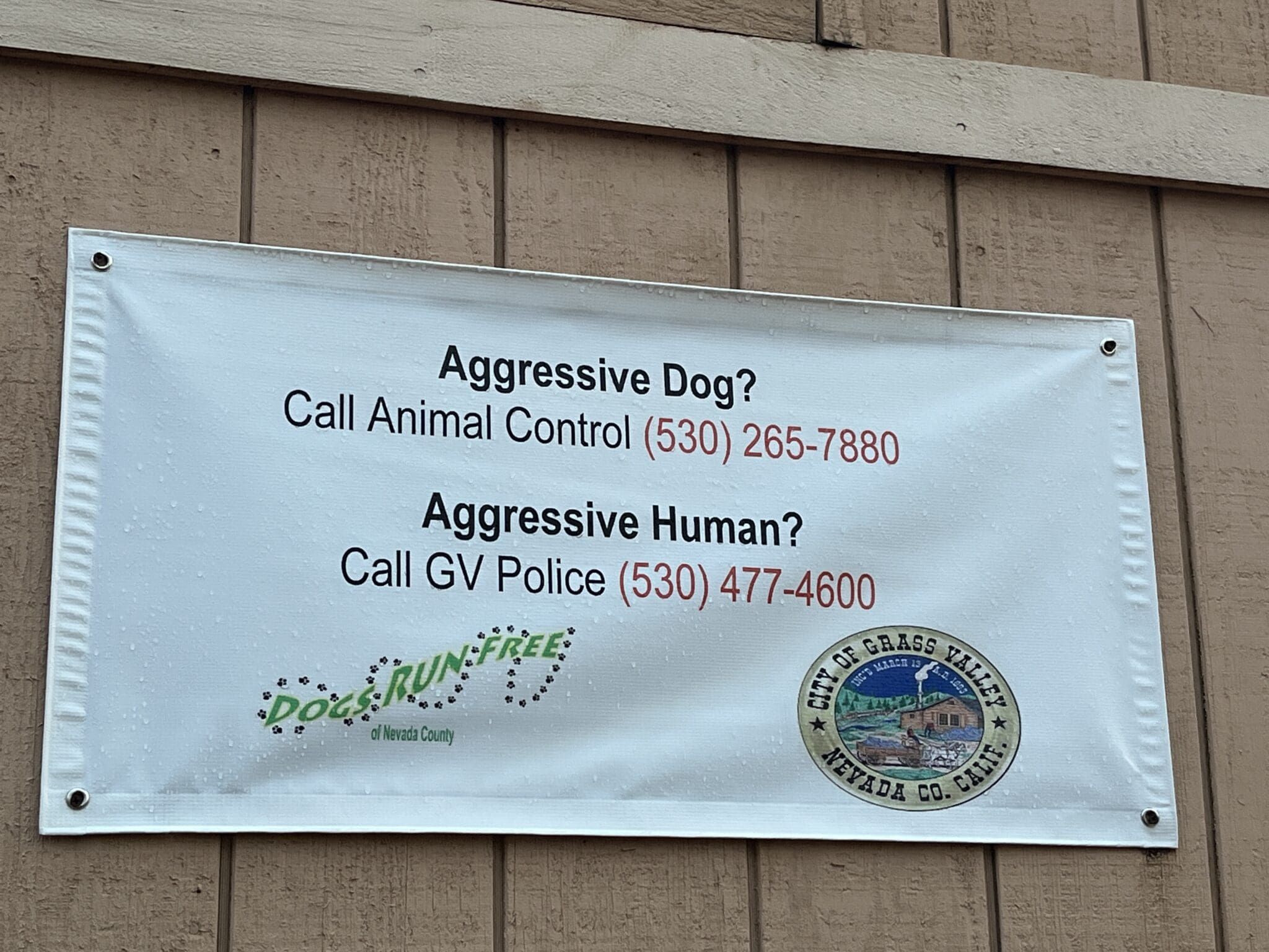 Aggression at Dog Parks - Whole Dog Journal