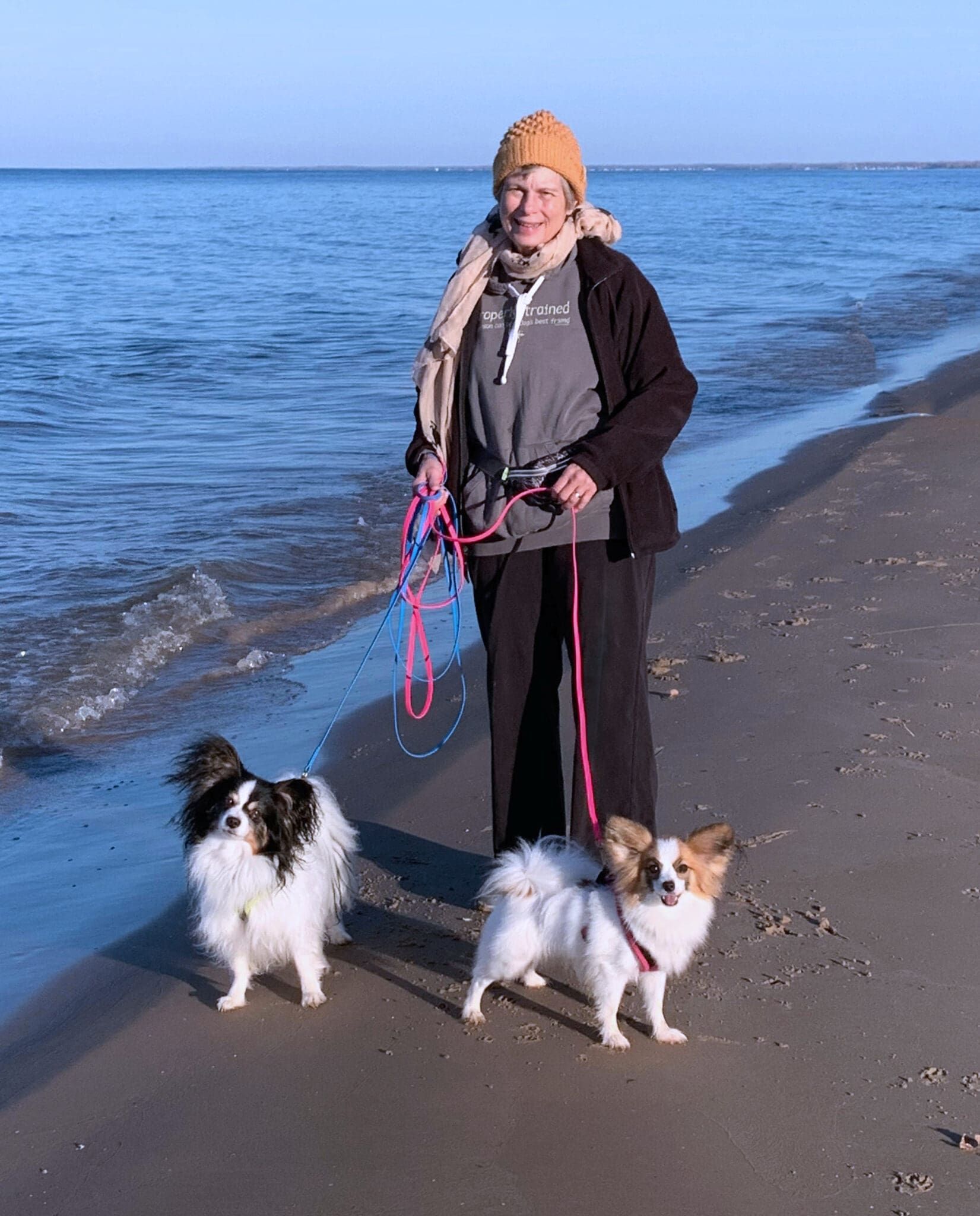 Help Has Arrived - Whole Dog Journal