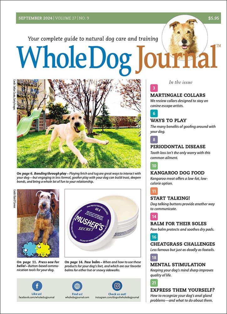 Download The Full September 2024 Issue PDF - Whole Dog Journal
