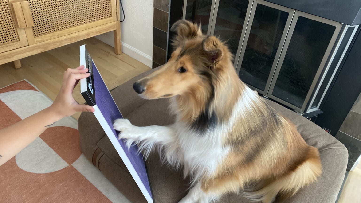 The Best Dog Scratch Pads for Fear-Free Nail Trims - Whole Dog Journal