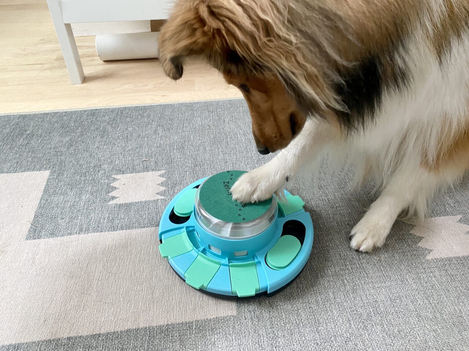 The Best Dog Scratch Pads for Fear-Free Nail Trims - Whole Dog Journal