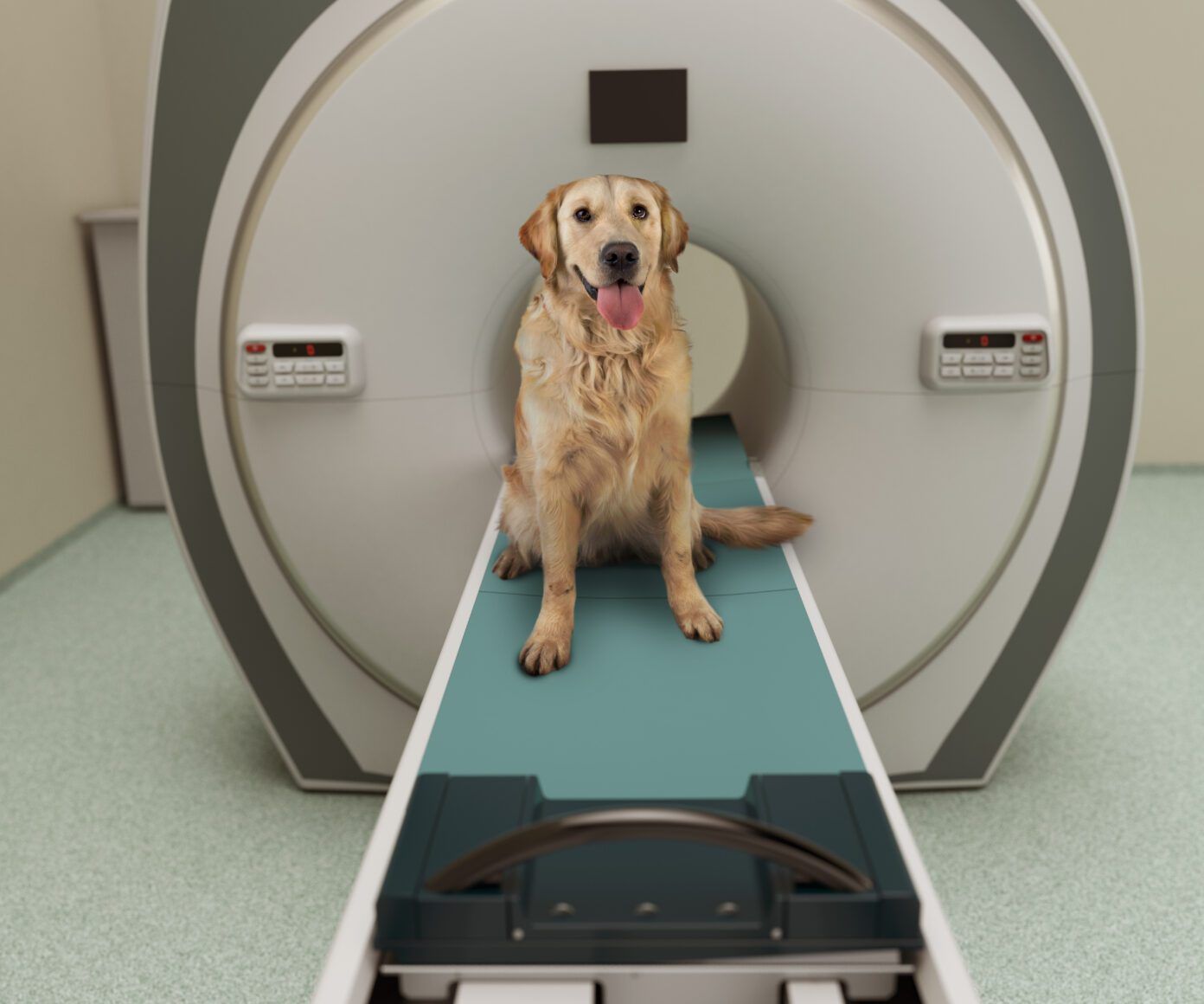 Do Dogs Think? (and other curiosities about the dog brain) - Whole Dog ...