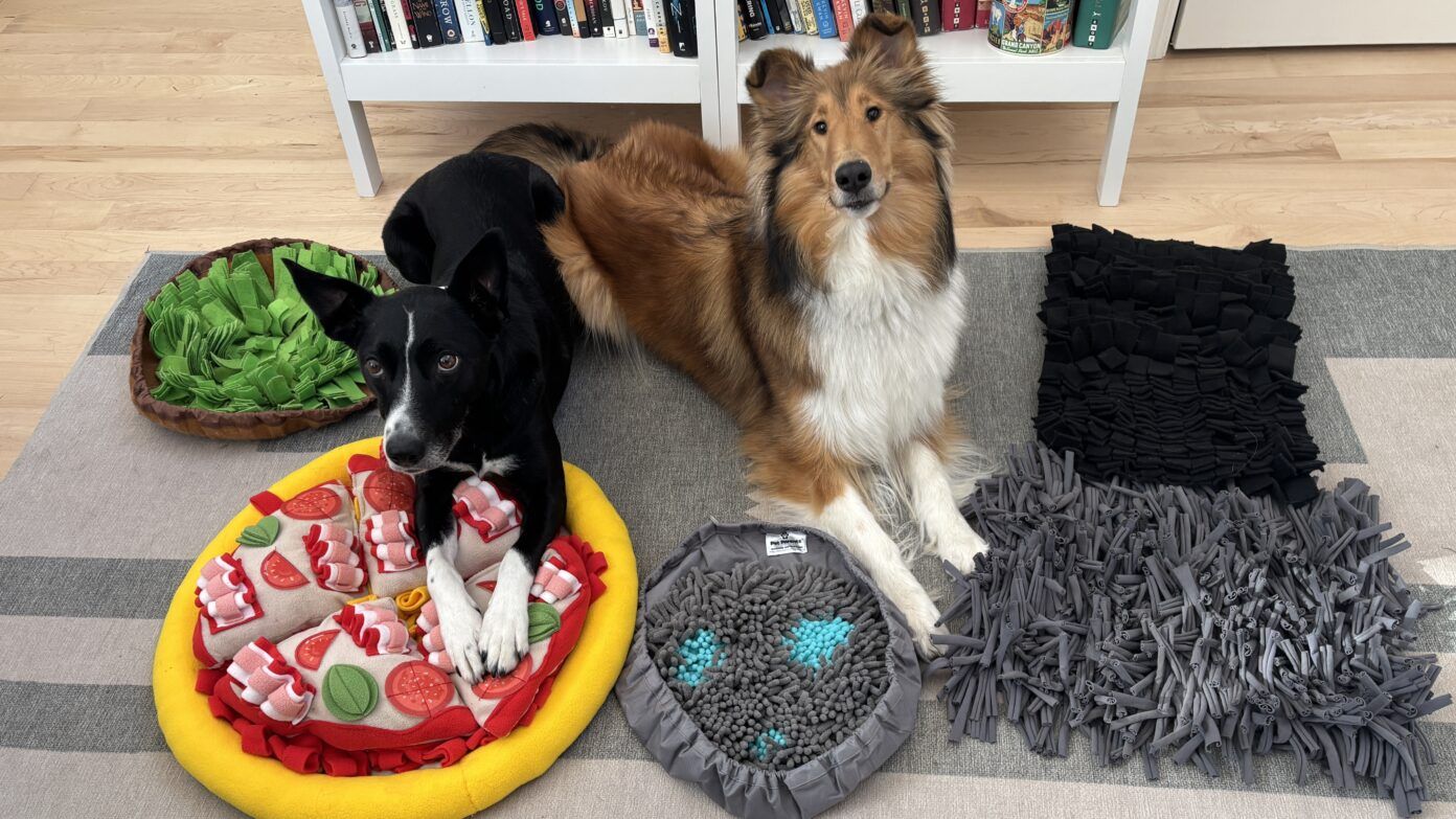 5 Best Snuffle Mats for Dogs - Whole Dog Journal
