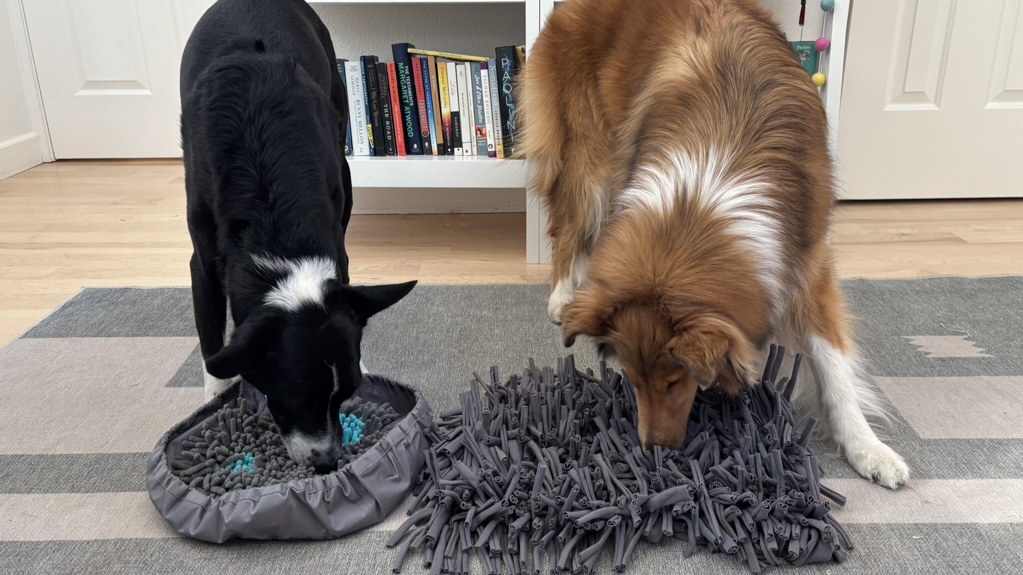 5 Best Snuffle Mats for Dogs - Whole Dog Journal