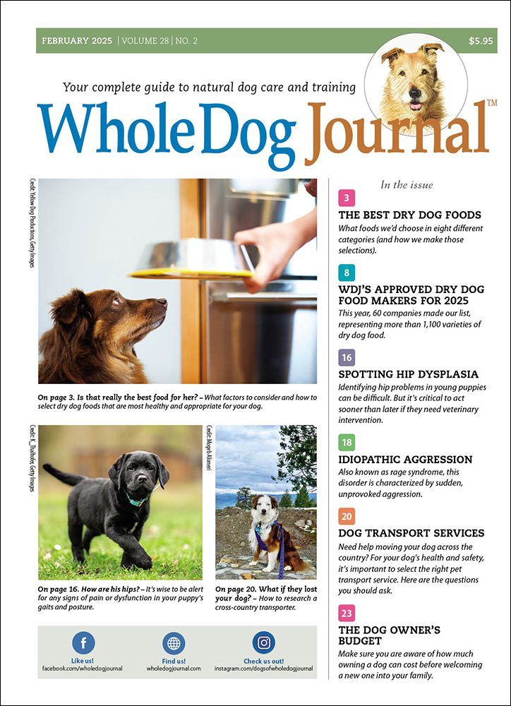Download The Full February 2025 Issue PDF - Whole Dog Journal