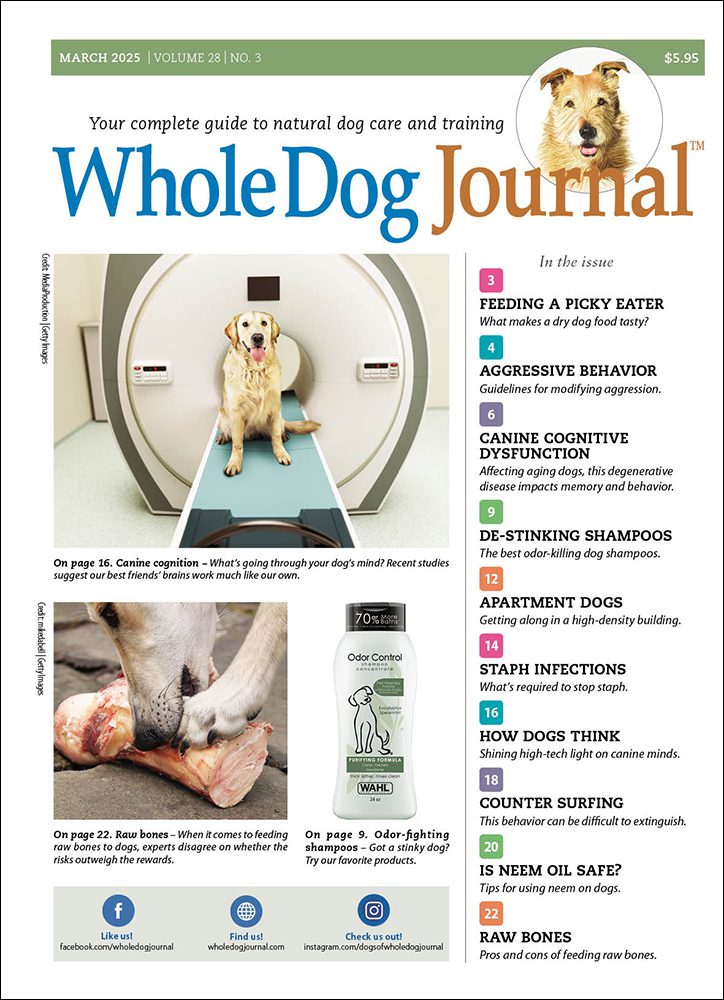 The New Issue of Whole Dog Journal Is Now Available - Whole Dog Journal