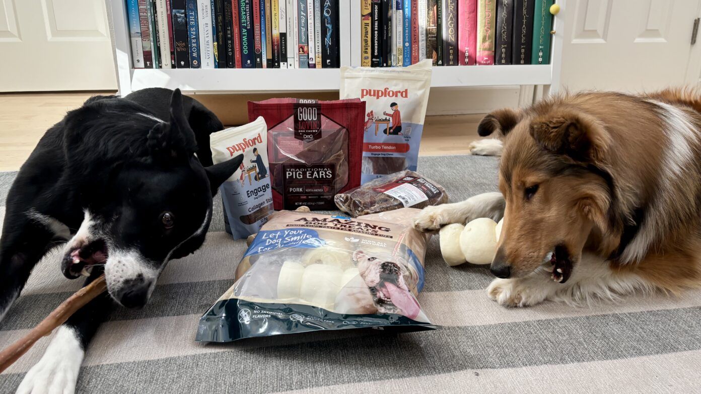 The Best (and Safest) Chew Bones for Dogs - Whole Dog Journal