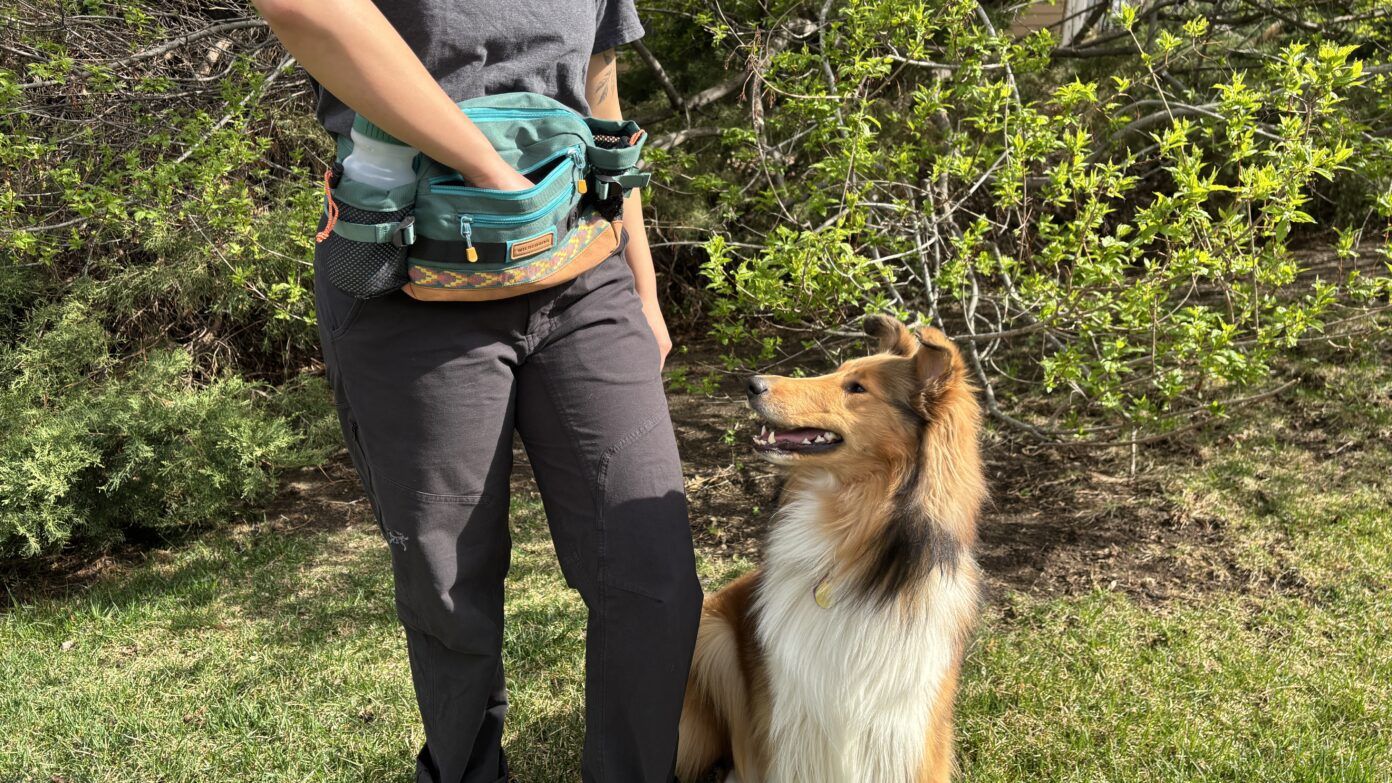 The 5 Best Dog Treat Pouches for Training, Hiking, and Dog Walks ...